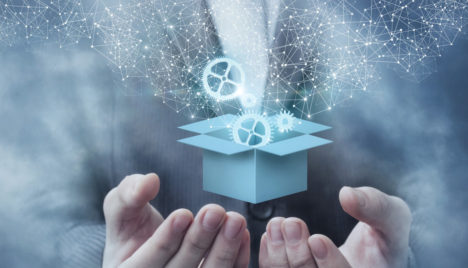 QMS in a Box - Alvamed